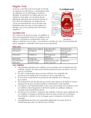 Metazolamida - Nombre genérico: Metazolamida Nombre comercial ...