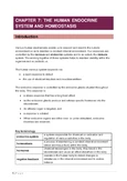 Endocrine System & Homeostasis Study Guide - GRAD E 12 - Studocu