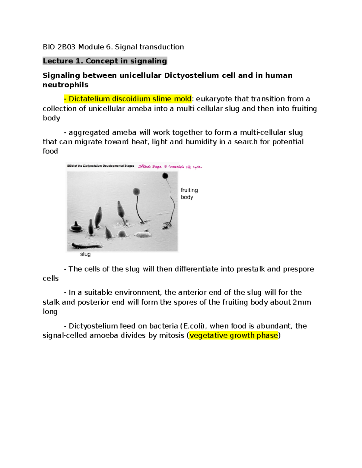 BIO 2B03- module 6 - notes - BIO 2B03 Module 6. Signal transduction ...