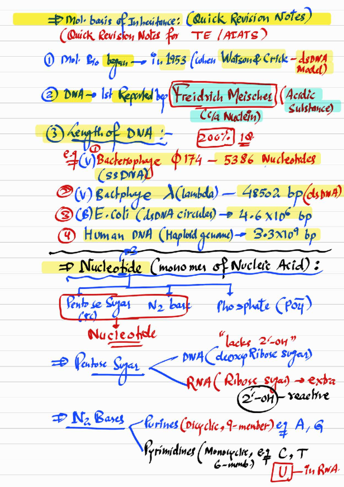 Molecular Basis of Inheritance: Quick Revision Notes for TE (ATATS ...