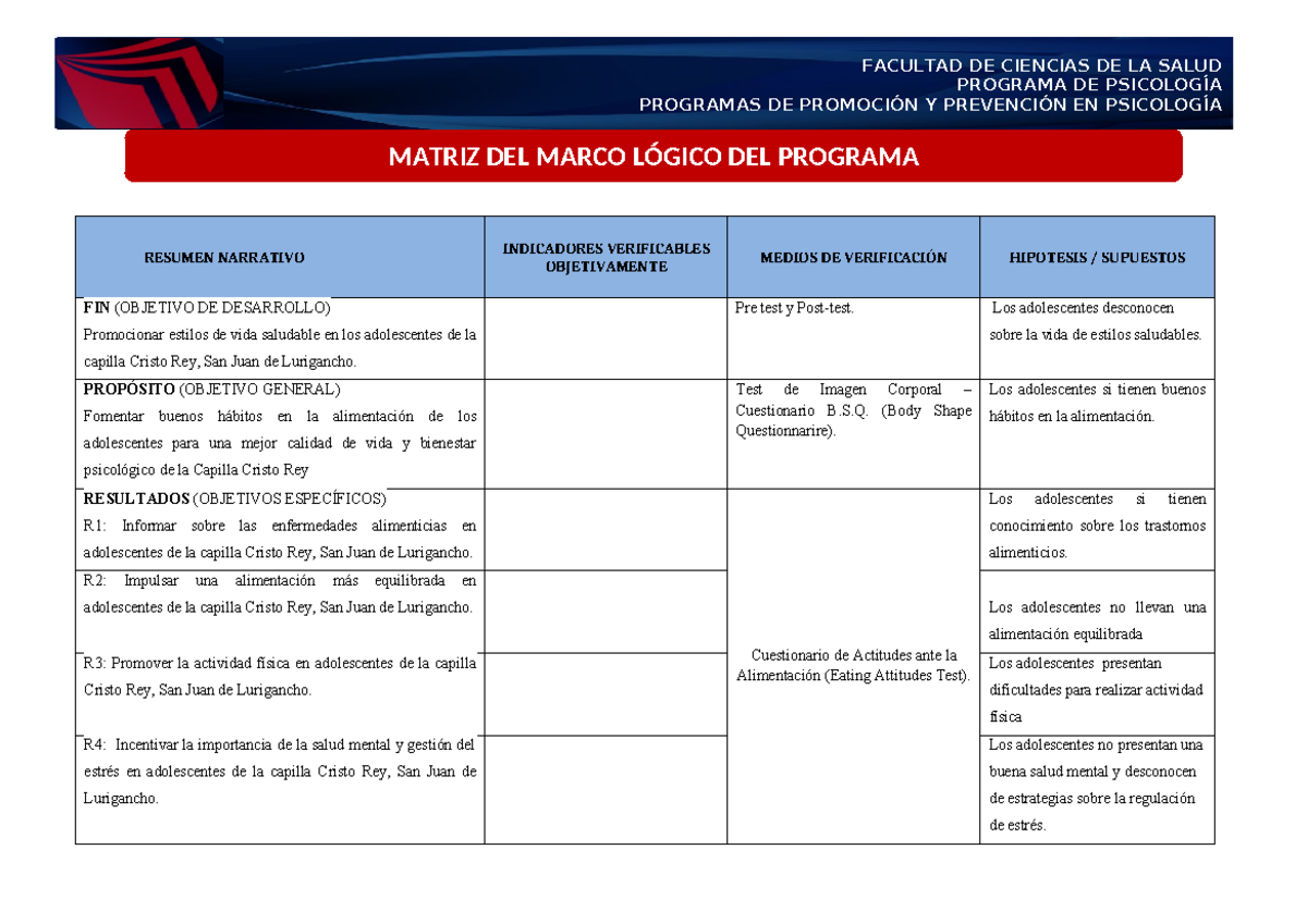 Matriz del Marco Lógico: Promoción de Estilos de Vida Saludable en ...