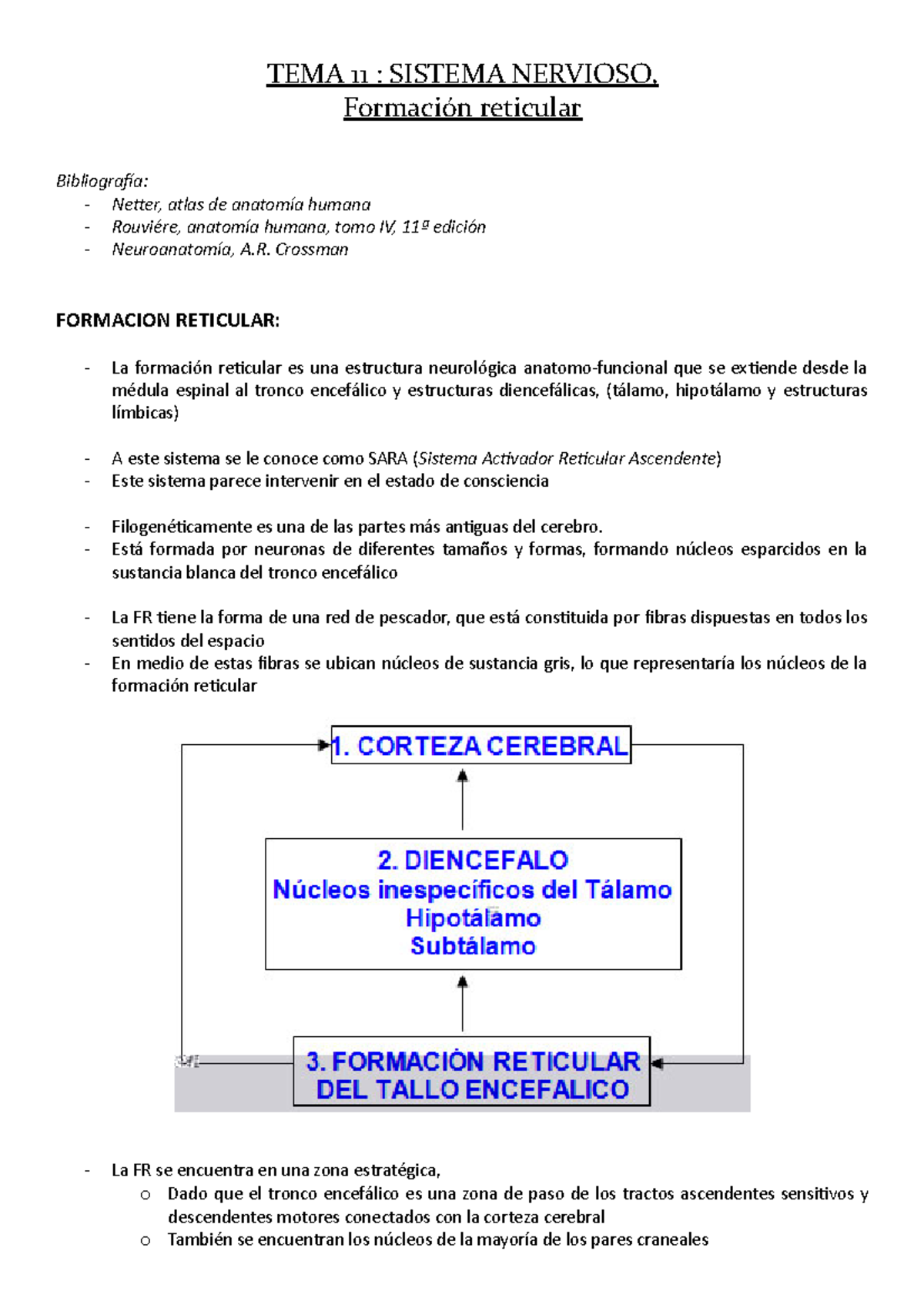 TEMA 11 Formacion Reticular - TEMA 11 : SISTEMA NERVIOSO, Formación ...