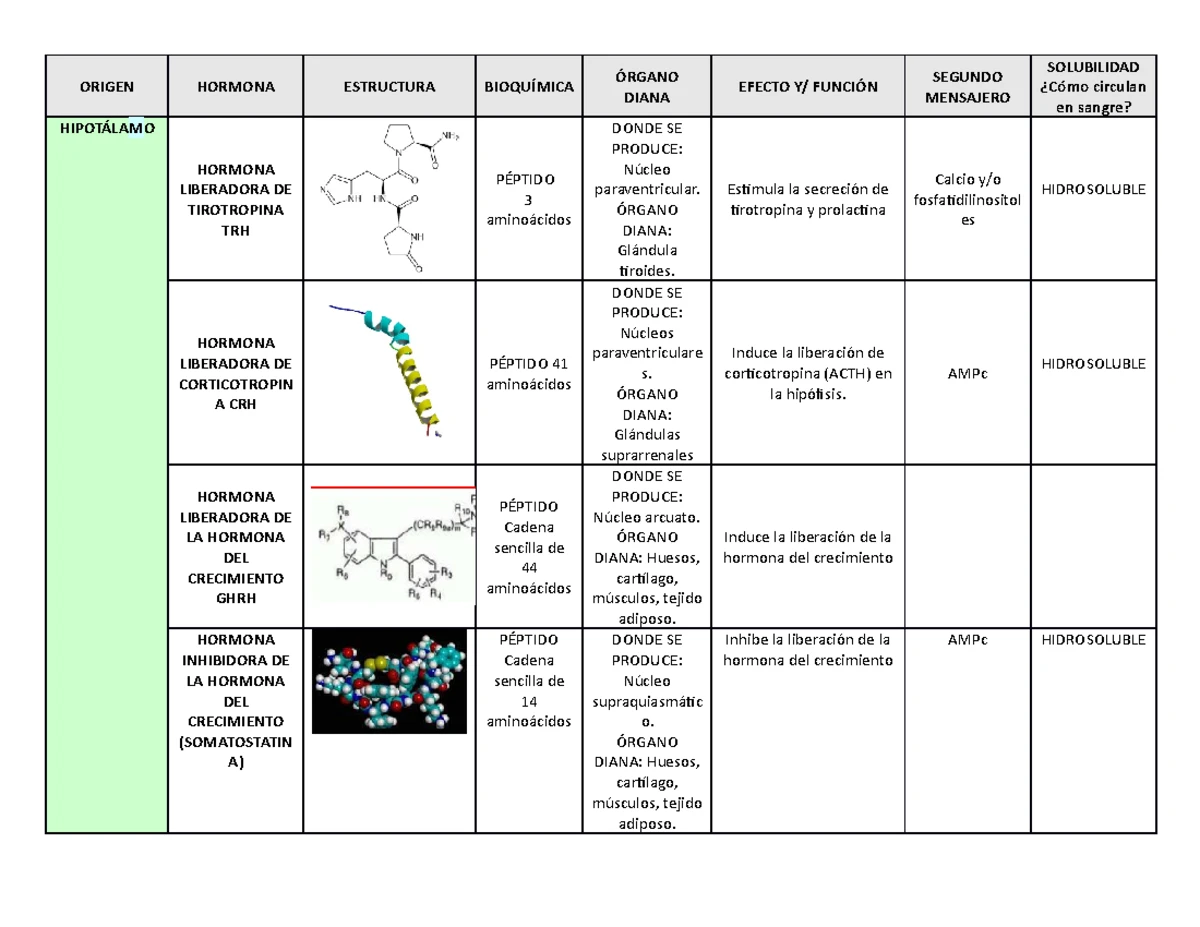 sintesis de hormonas esteroideas - R E V I E W The Molecular Biology ...