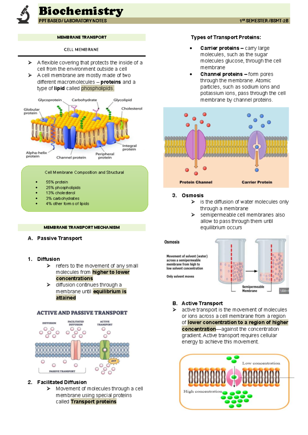 BioChem Lab Notes: Membrane Transport & Carbohydrates (BSMT-2B) - Studocu