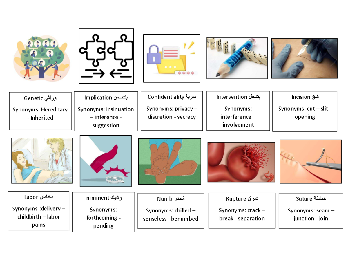 Writing an Interpretive Report: Structure & Guidance (ENG 101) - Studocu