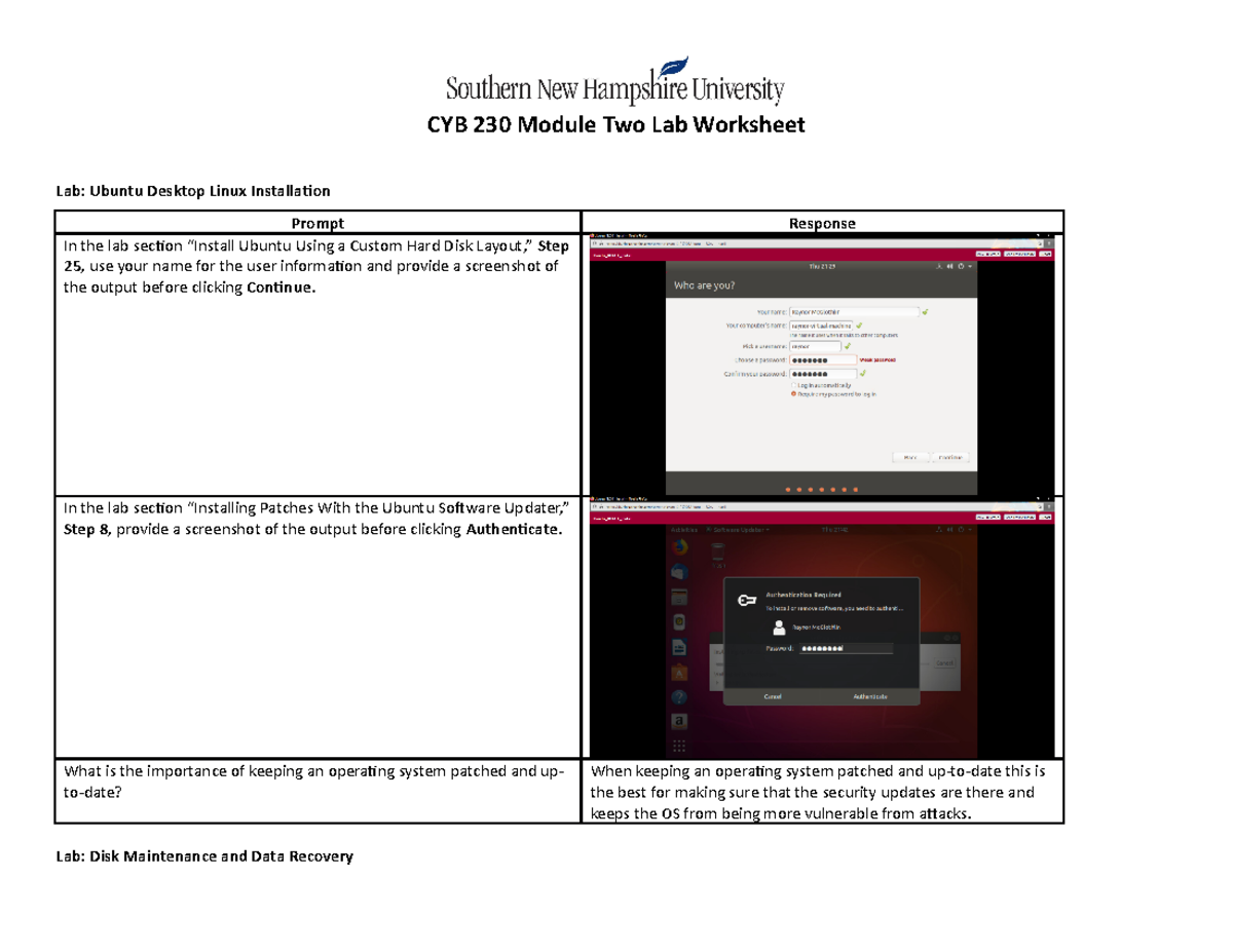 CYB 230 Module Two Lab Raynor Mc Glothlin - CYB 230 Module Two Lab ...