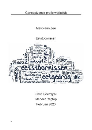 Profielwerkstuk - Jaar: 4 - VMBO - Studeersnel