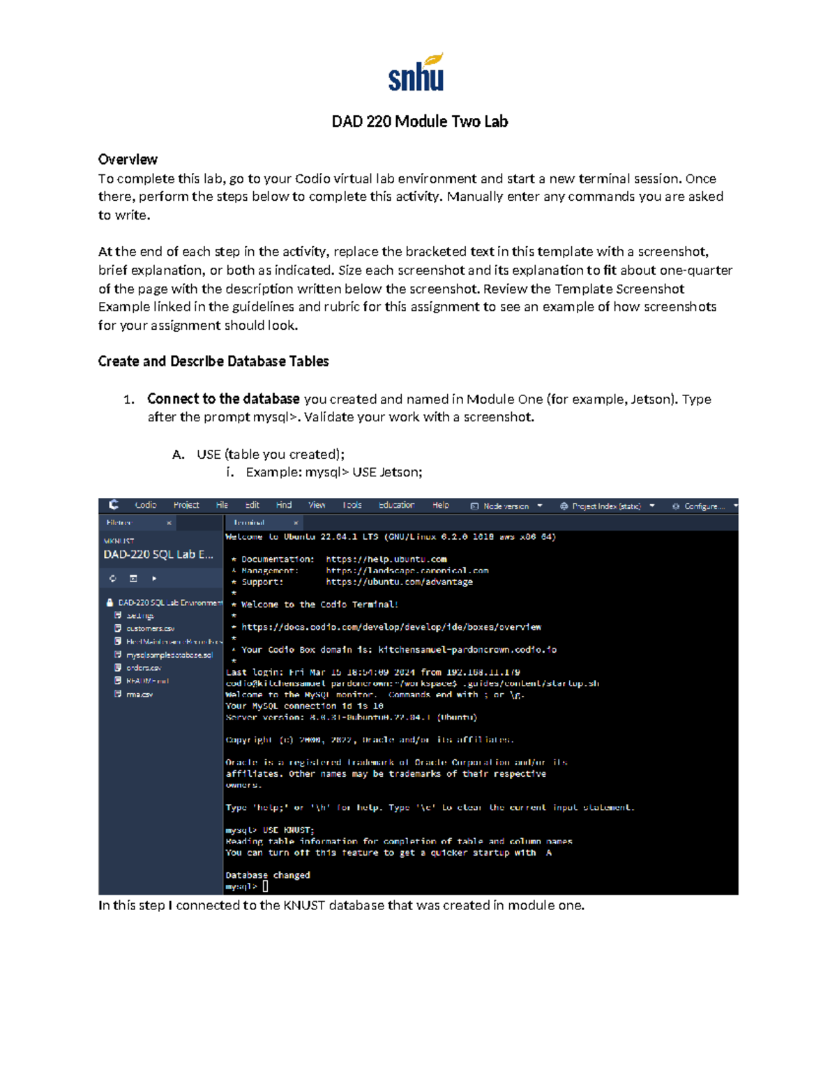 DAD 220 Module Two Lab - DAD 220 Module Two Lab Overview To complete this lab, go to your Codio ...