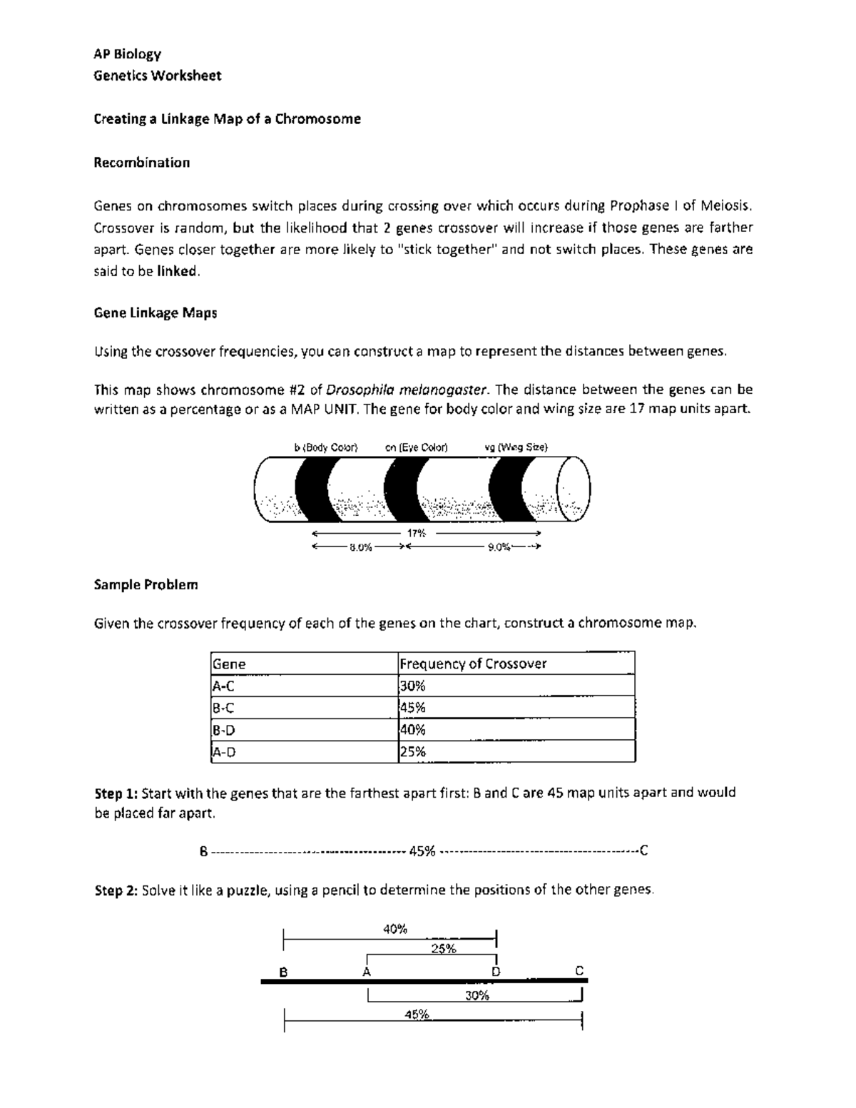AP Biology Genetics Worksheet: Linkage Map Creation - Studocu