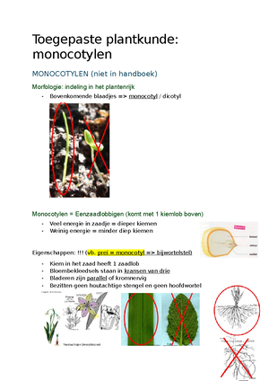 Monocotylen (eenzaadlobbigen) - Monocotylen (eenzaadlobbigen) Verschil ...
