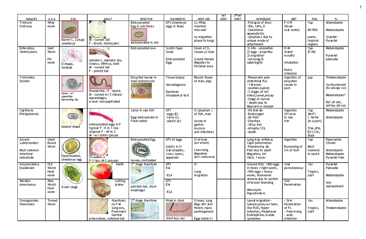 Parasitology Review Table 3: Key Information and Diagnostics - Studocu
