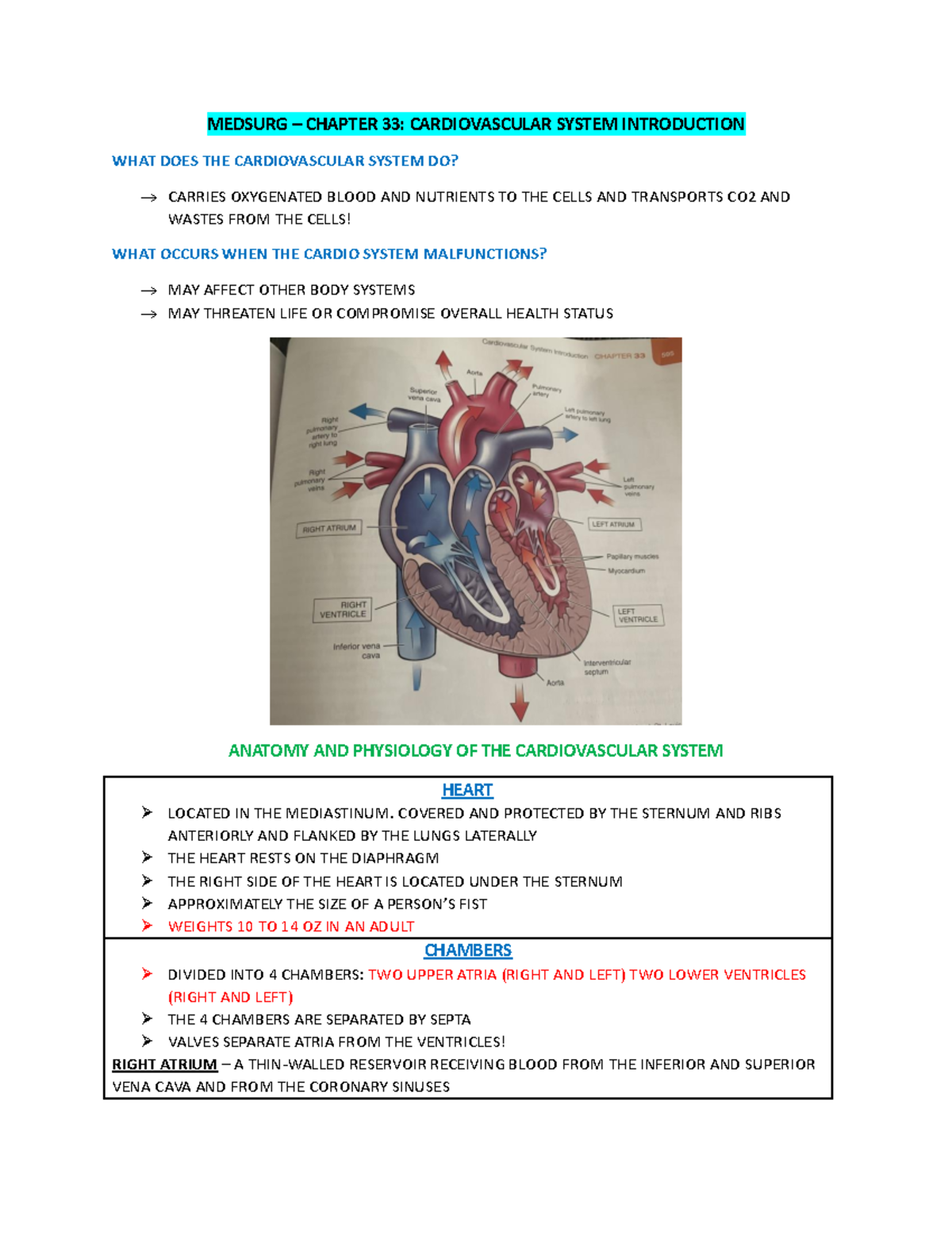 Cardiovascular System - MEDSURG – CHAPTER 33: CARDIOVASCULAR SYSTEM ...