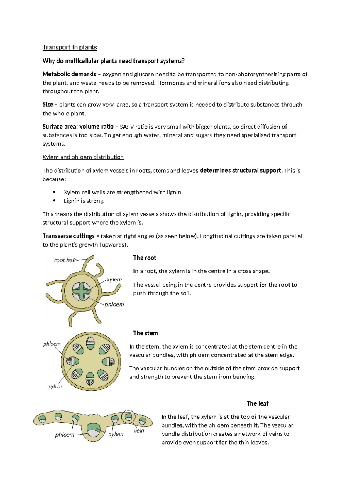Transport in Plants: AQA Biology A Level Notes (2017-2019) - Studocu