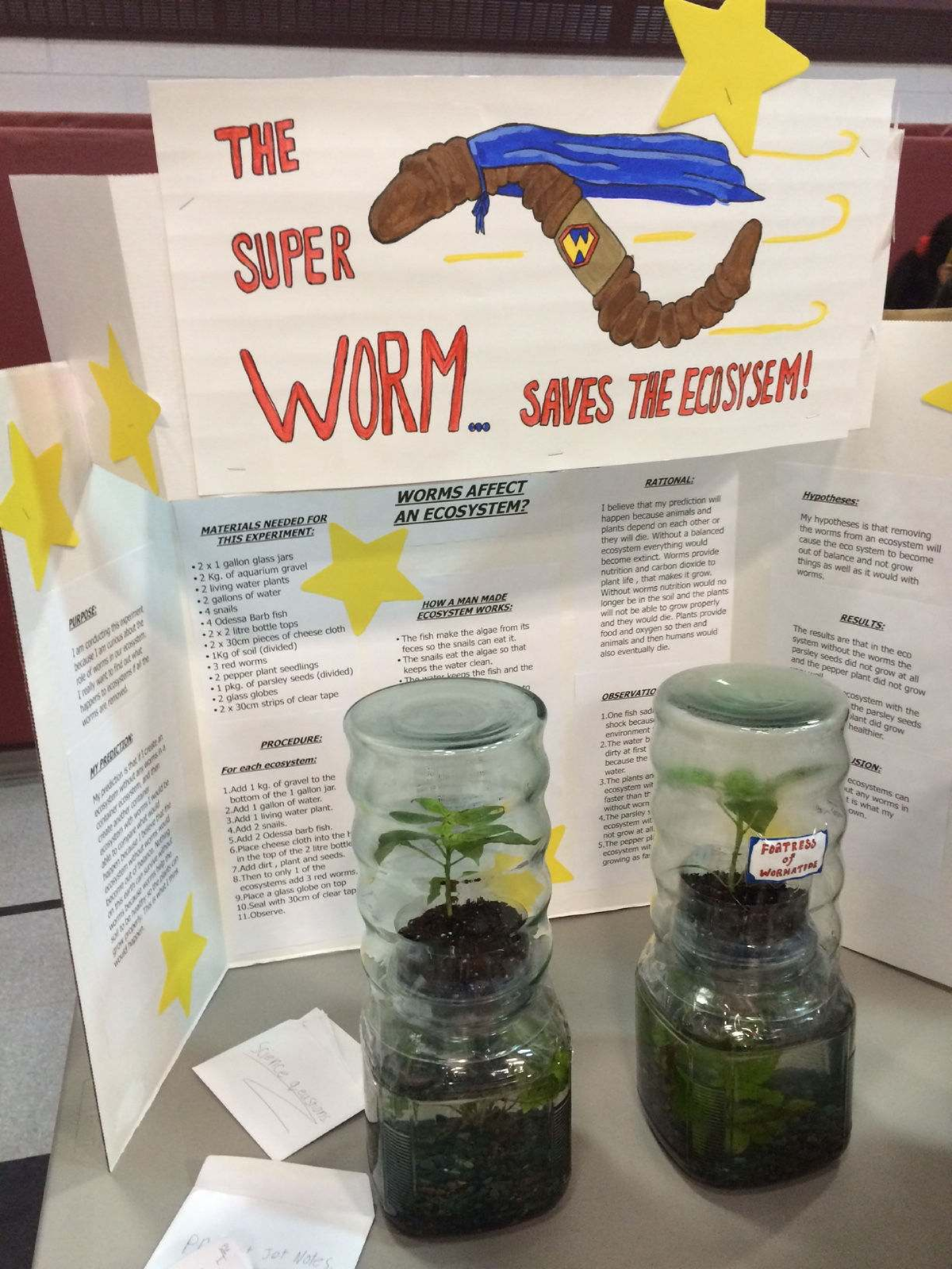 Experiment on Ecosystem Balance: The Role of Worms in ECOS 101 - Studocu