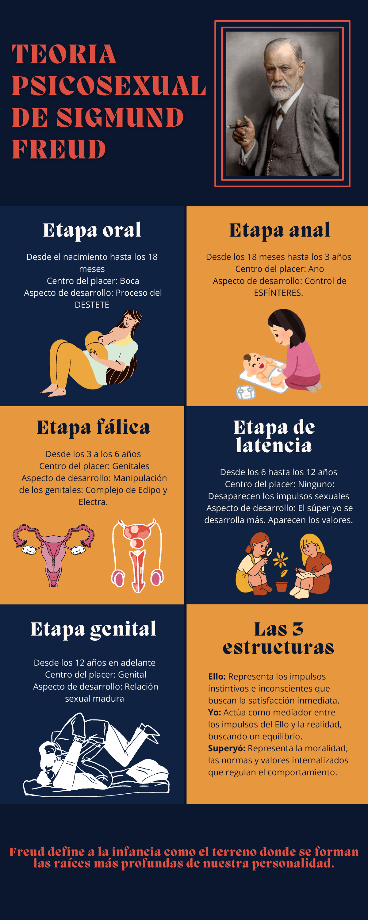 Infografía sobre la Teoría Psicosexual de Freud - Studocu