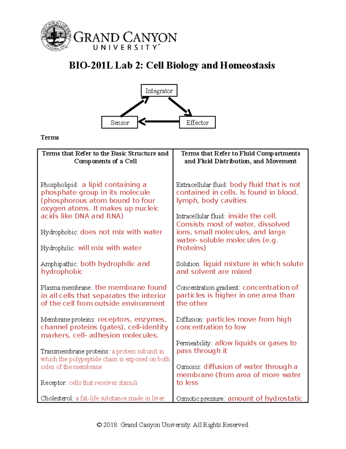 BIOL Terms 2 - BIO-201L Lab 2: Cell Biology and Homeostasis Terms Terms that Refer to the Basic ...