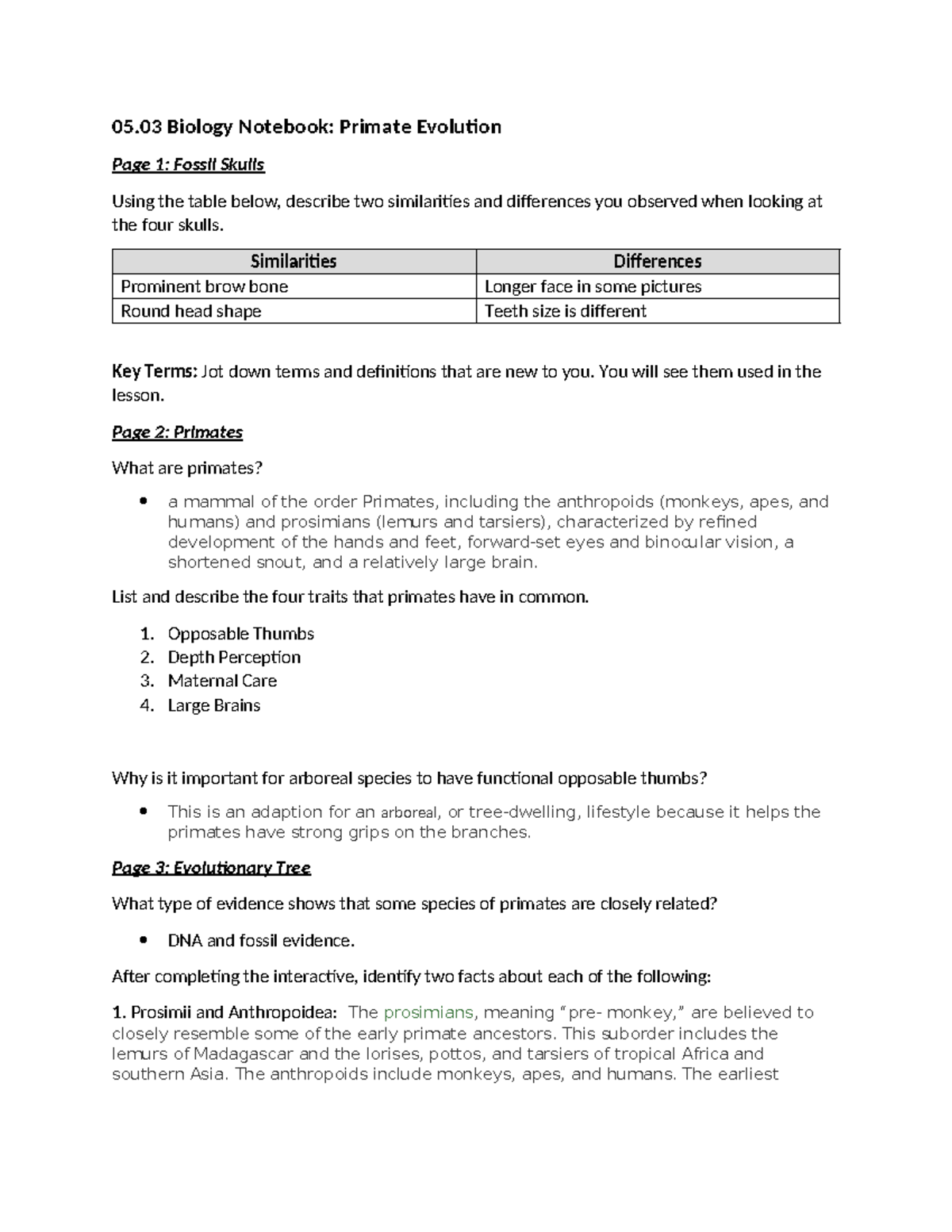 05 Biology: Primate Evolution Notes and Skull Analysis - Studocu