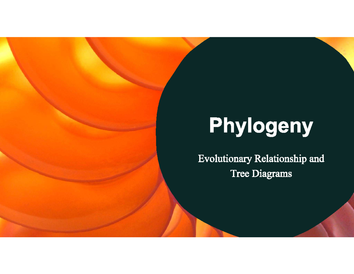 ZOO Phylogeny: Understanding Evolutionary Relationships and Tree ...