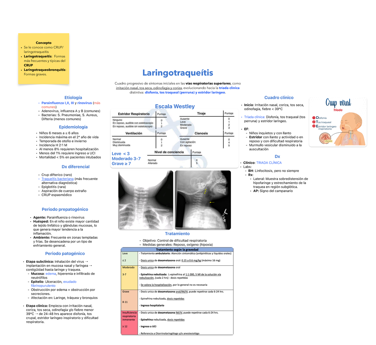 Laringotraqueobronquitis: Un Estudio Sobre Crup y su Etiología - Studocu