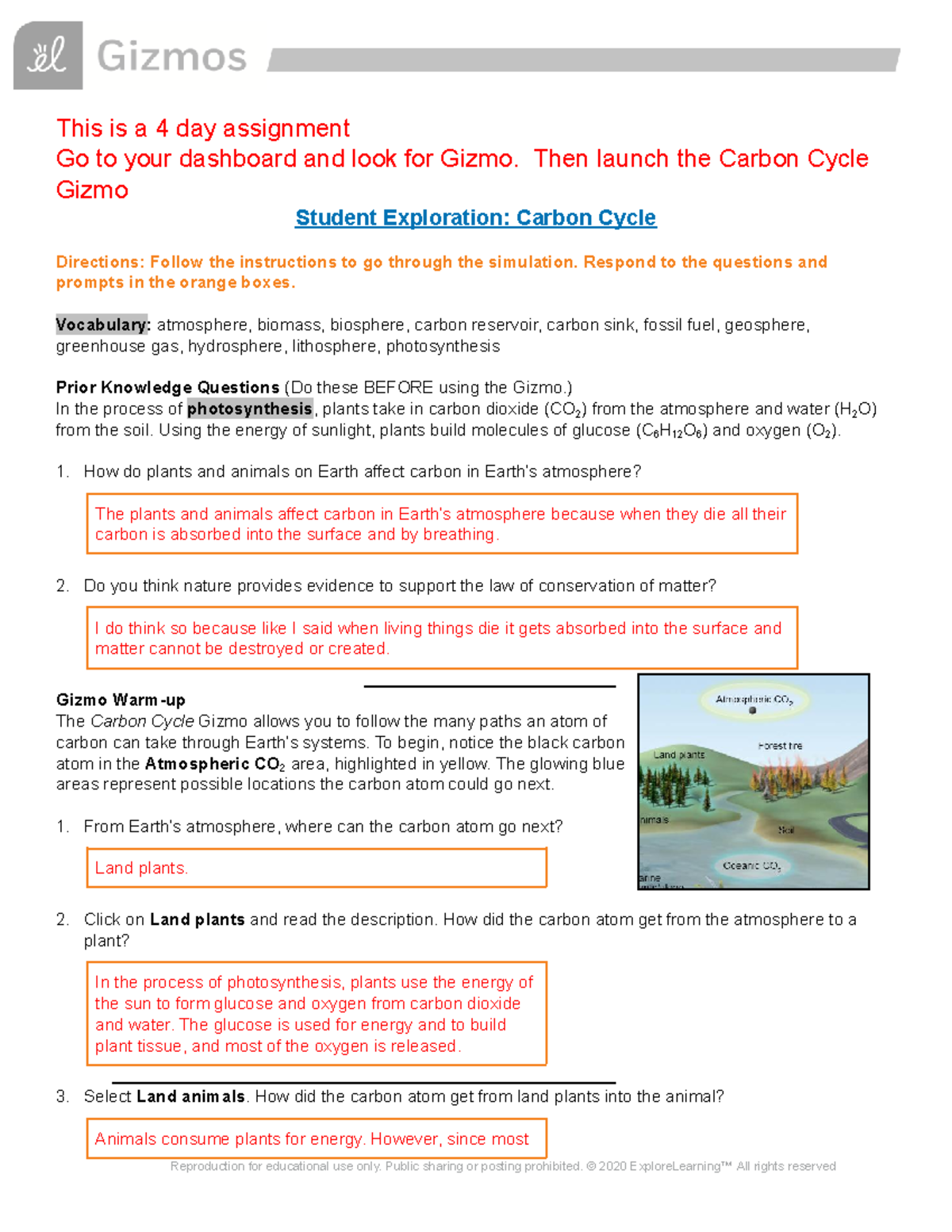 Gizmo Understanding the Cycling of Matter and Energy - This is a 4 day ...