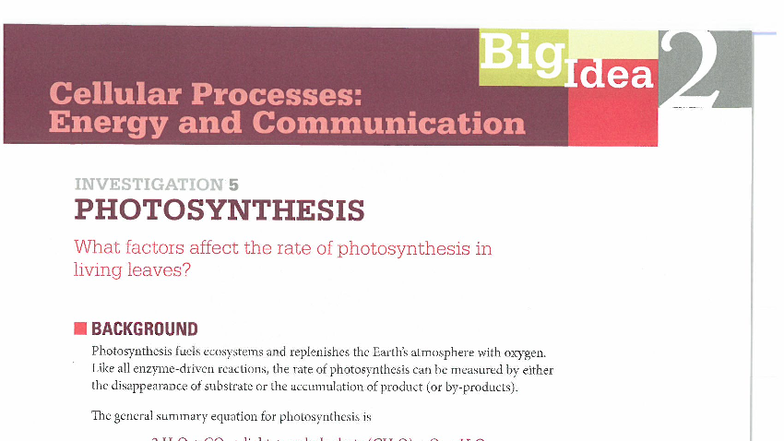AP Unit 3 Lab: Investigating Factors Affecting Photosynthesis Rate ...