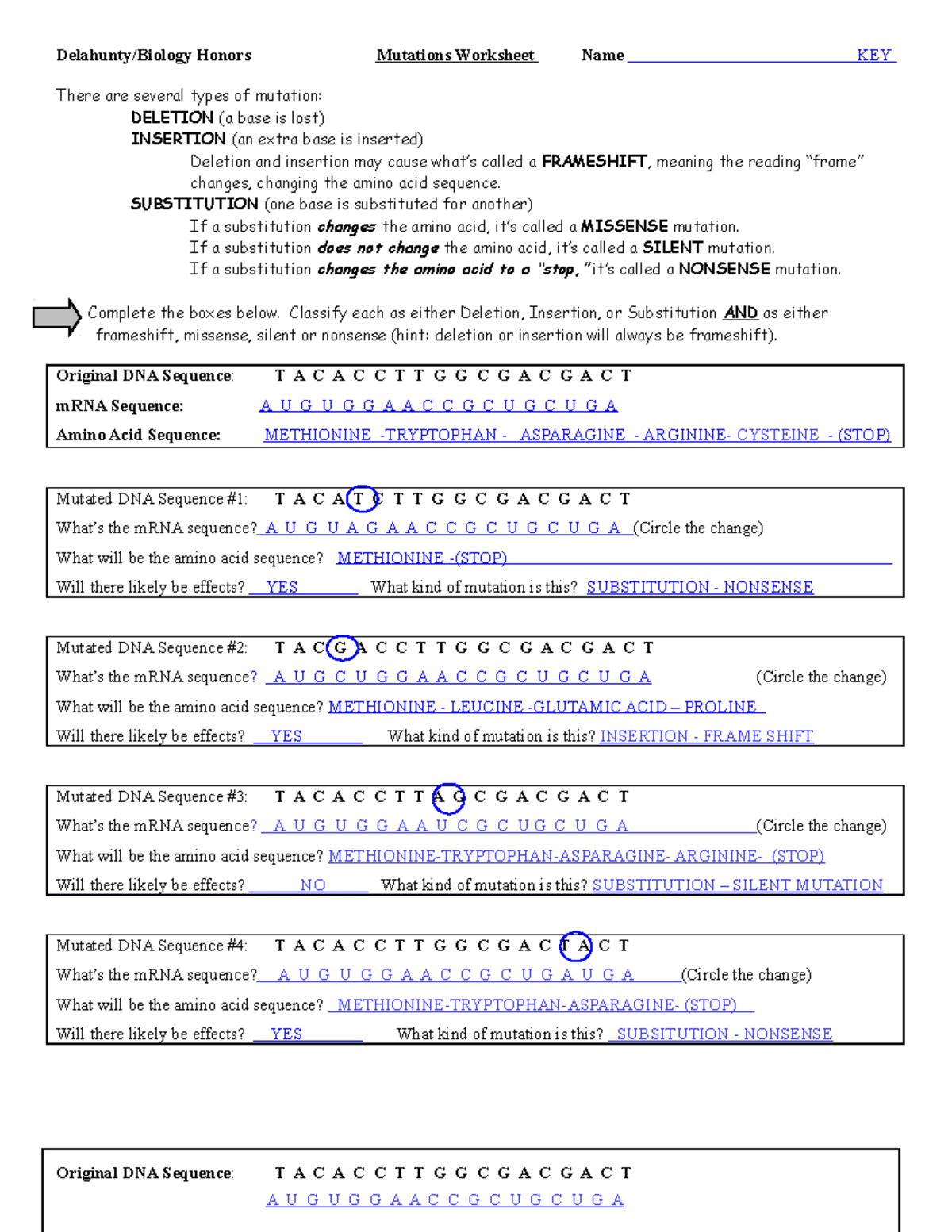 Mutations Worksheet Key - Delahunty/Biology Honors Analysis - Studocu
