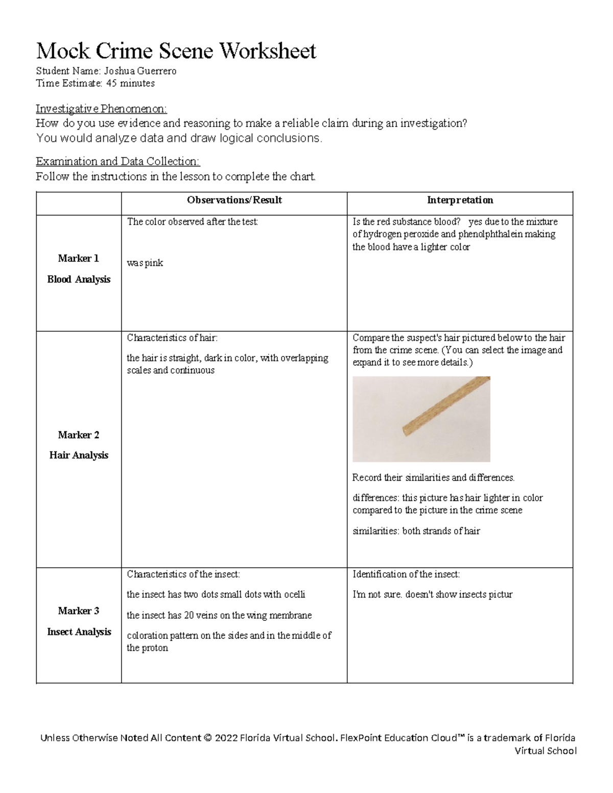 02 07 Mock Crime Scene Analysis Worksheet - Studocu