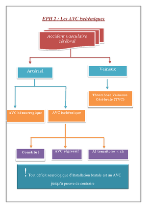 Cours reflexes medullaires et tonus musculaire - Réflexes Médullaires ...