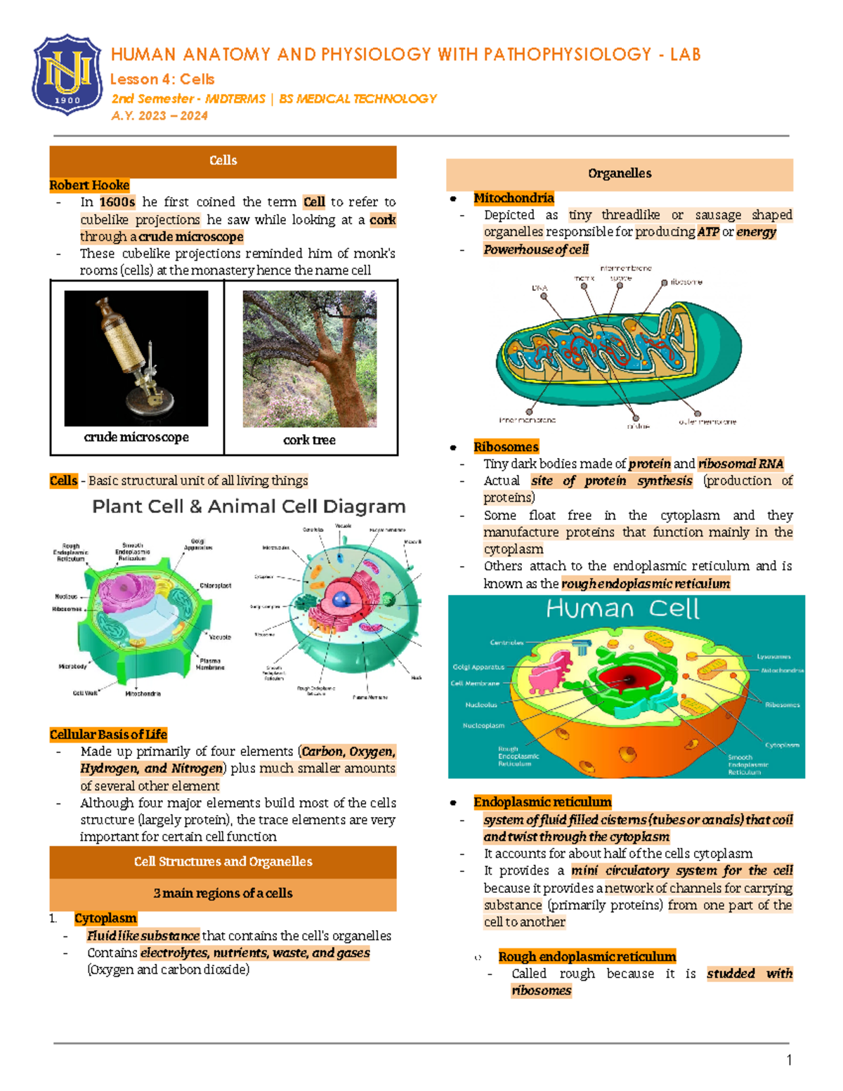 Lesson 4 Cells - Cell Structures and Organelles Types of passive transport 2 types of diffusion ...