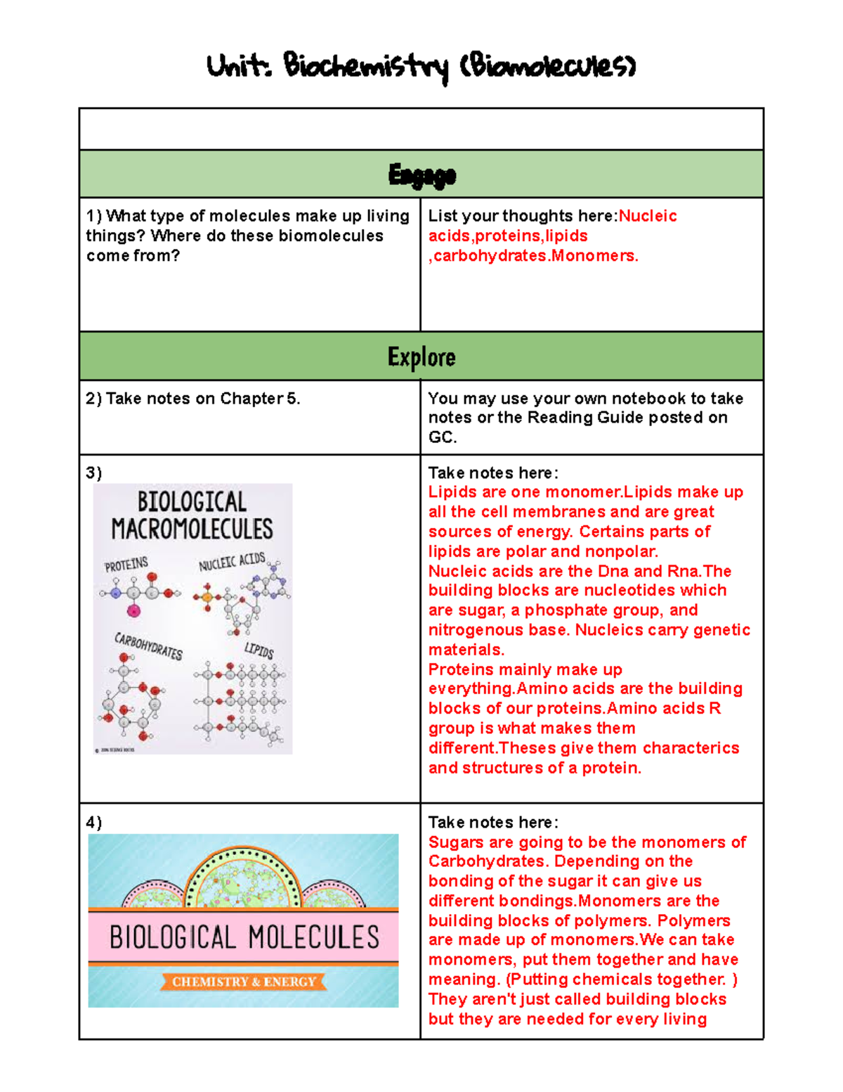 Unit Biochemistry (biomolecules) Hyperdoc - Unit: Biochemistry ...