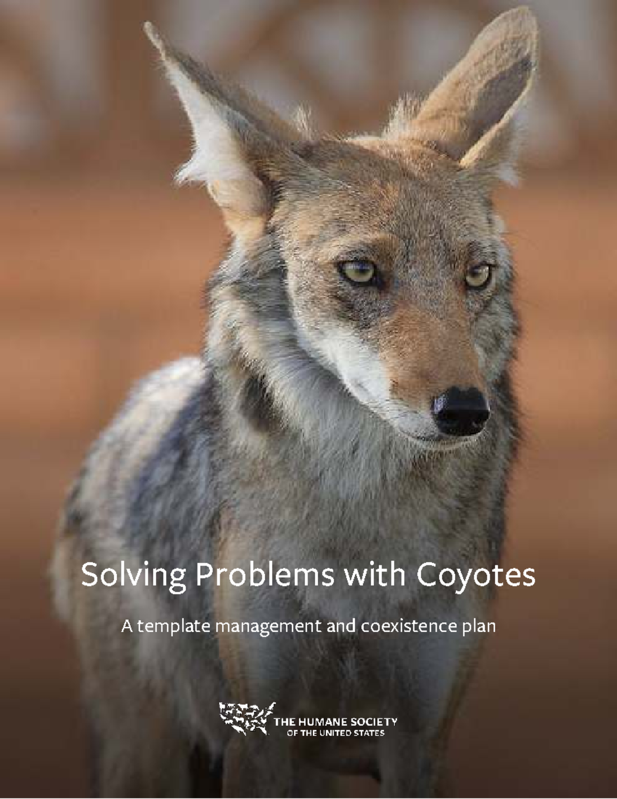 Coyote Management Plan: Strategies for Coexistence and Conflict ...