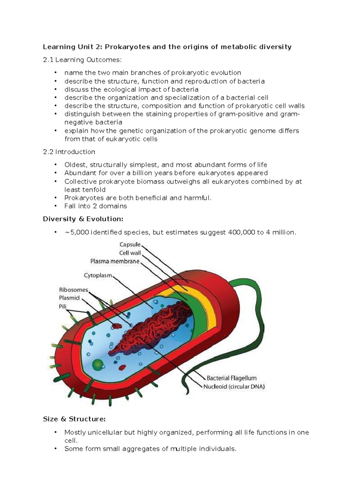 Learning Unit 2: Prokaryotes & Metabolic Diversity Notes - Studocu