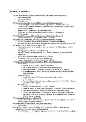 Atmungsorgane Histoweb - Nasenseptum Atmungsorgane Regio cutanea ...