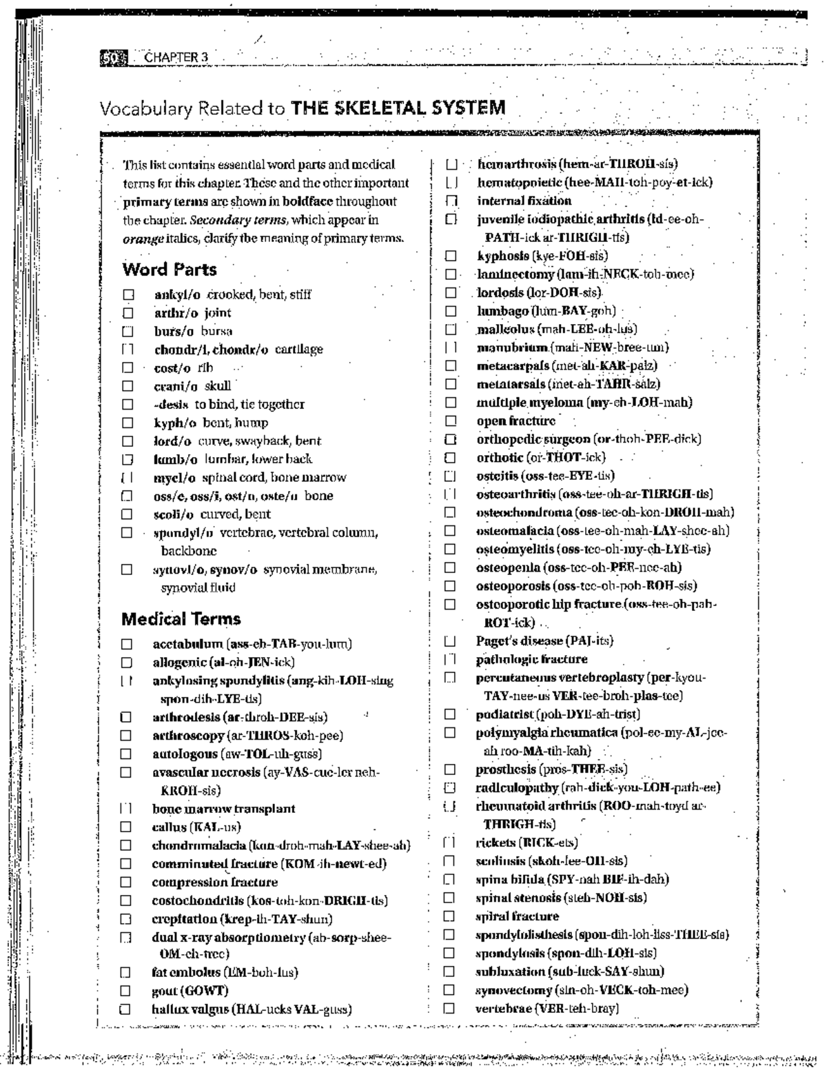 Final Exam Study Notes for Course XYZ: Skeletal System Vocabulary - Studocu