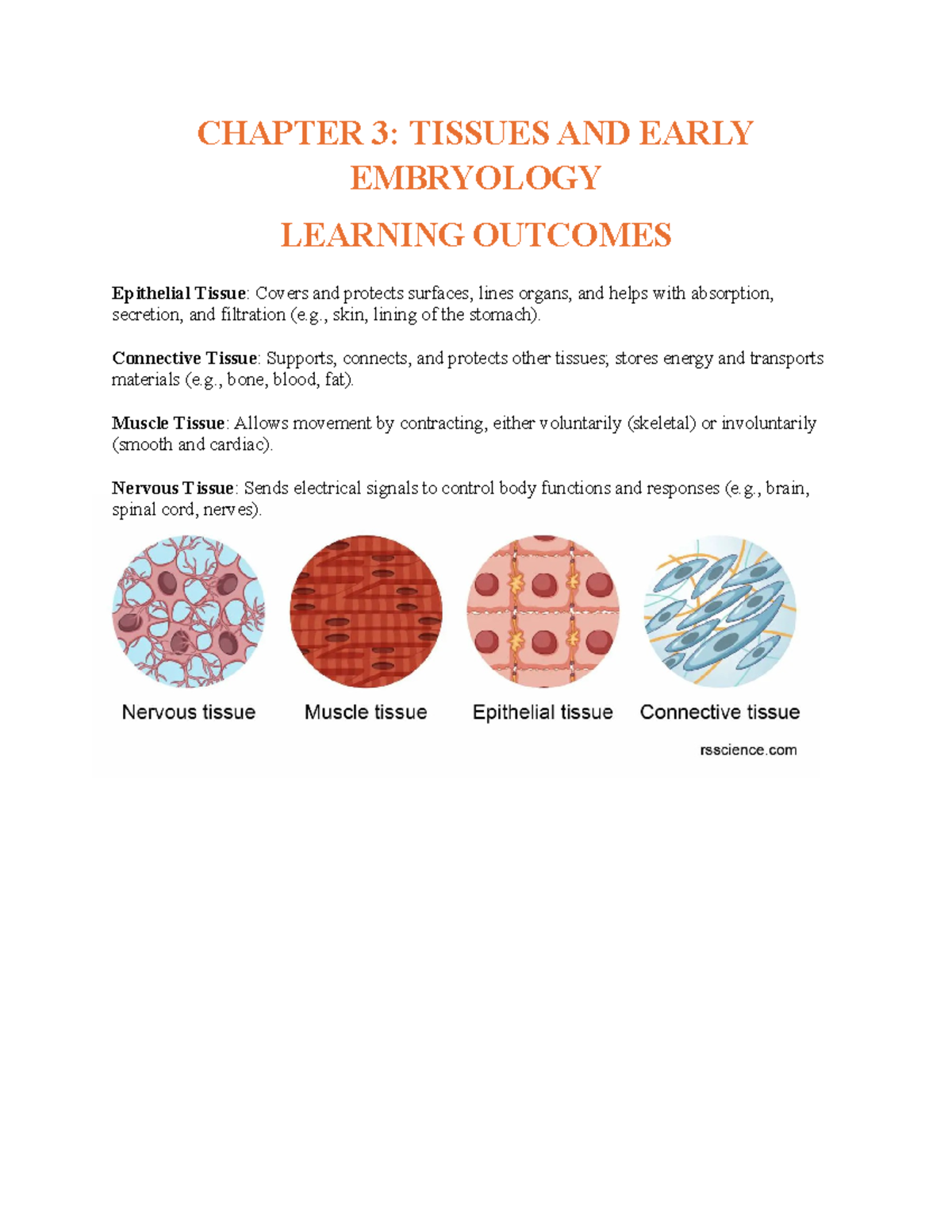 CH. 3 Learning Outcomes: Tissues & Early Embryology Case Study - Studocu