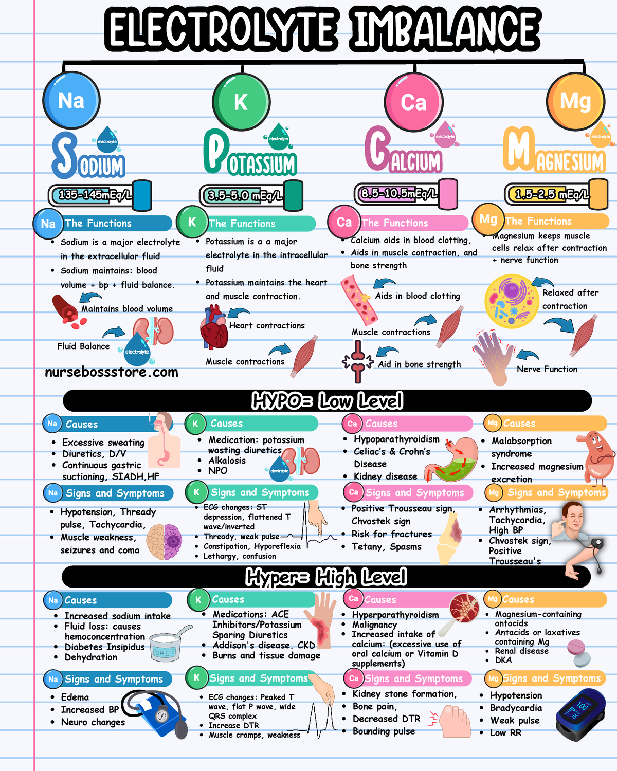 Electrolytes Overview: Key Points for Exam Preparation - Studocu