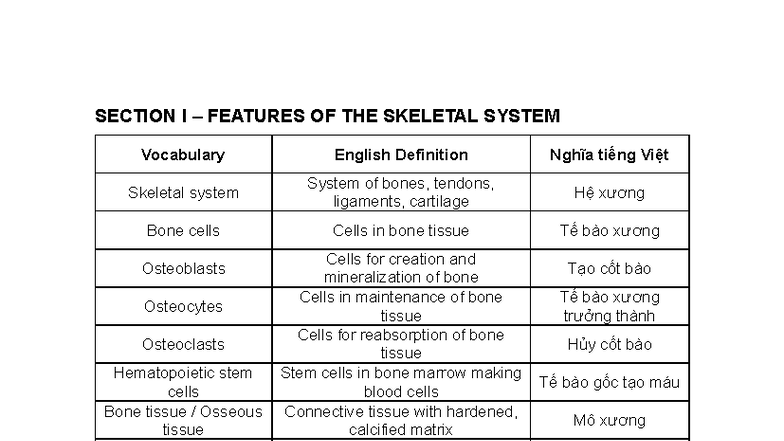 SKE 101: Features of the Skeletal System Vocabulary and Functions - Studocu