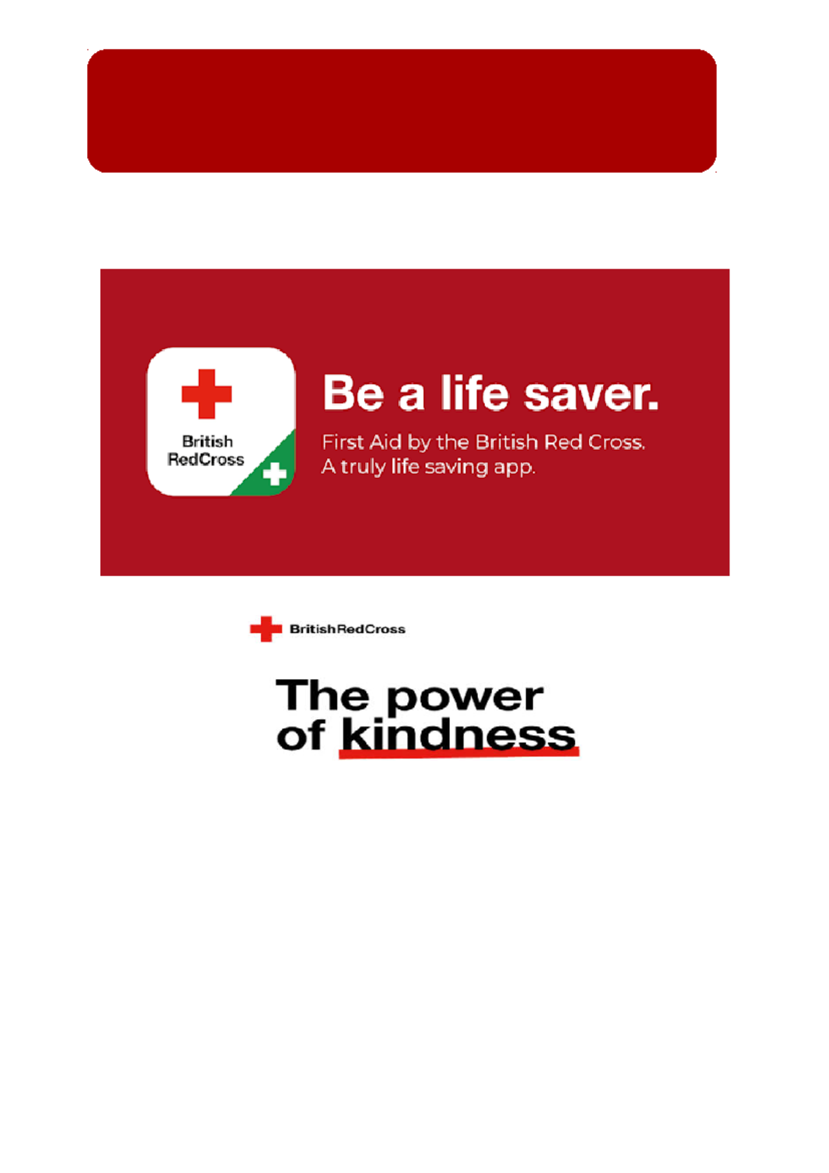 British Red Cross: Overview of Structure, Goals, and Functions - Studocu