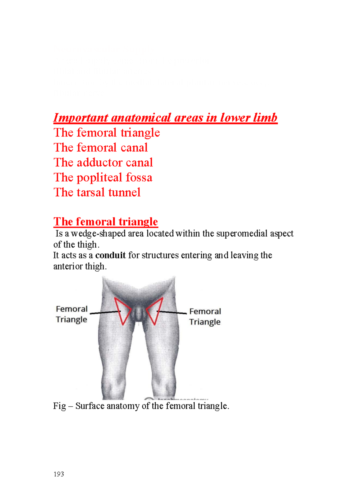 Anatomy-Important Anatomical Regions of the Lower Limb - Studocu