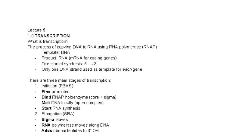 Biol 308 Lecture Notes: Transcription & Nuclear Organization (Ch. 5-8 ...