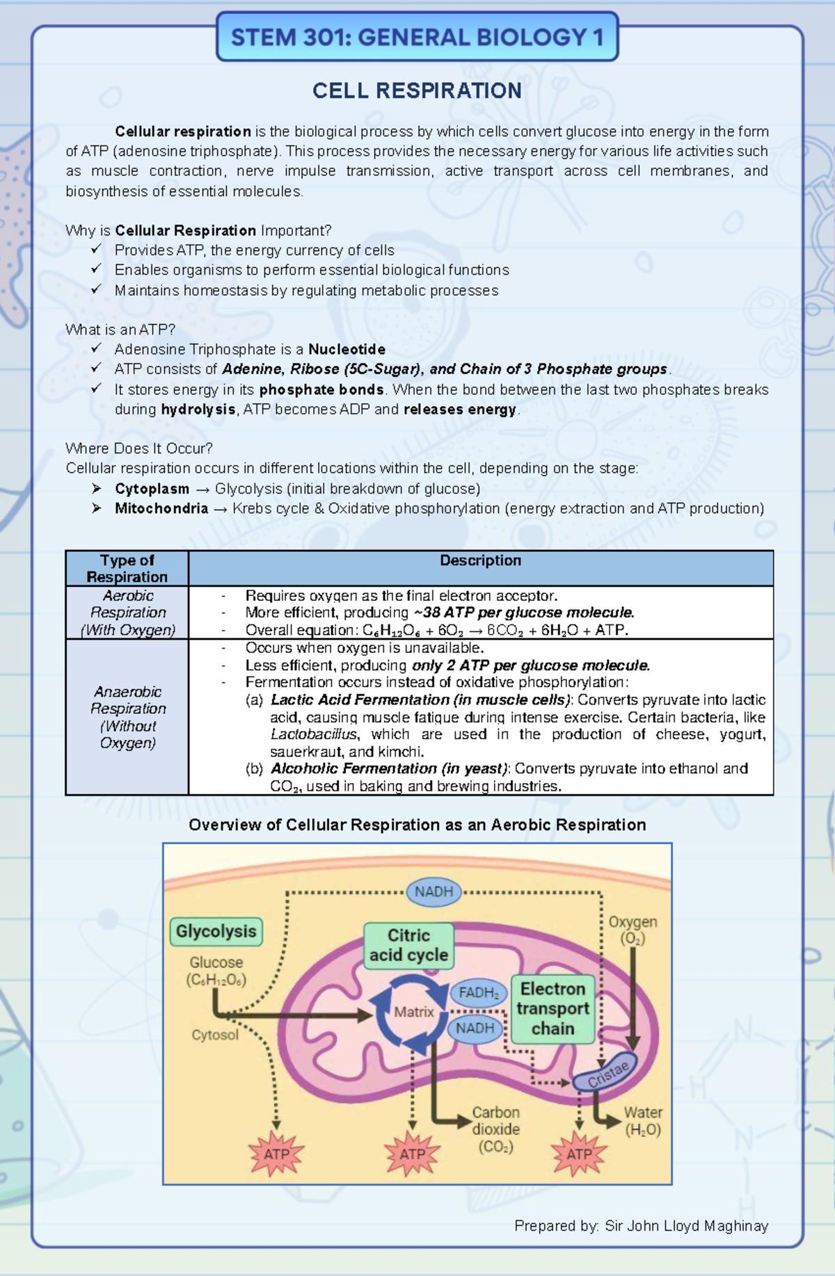 Cell Respiration Reading Material - CELL RESPIRATION Cellular ...