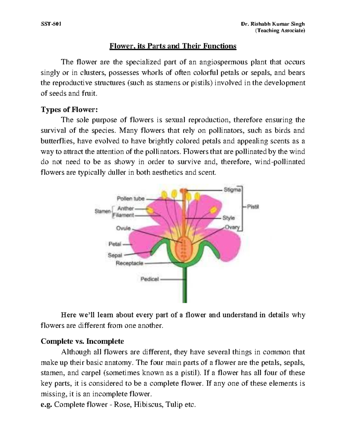 Functions Of The Parts Of A Hibiscus Flower - Infoupdate.org