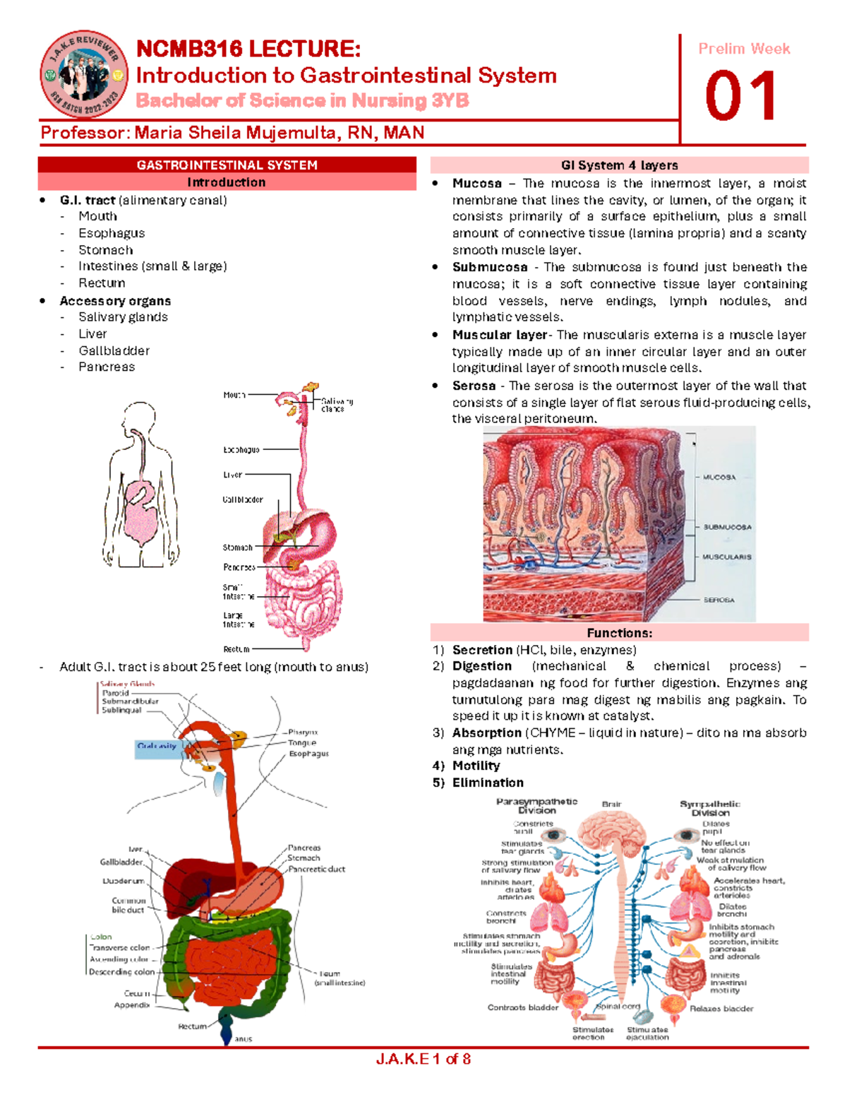 WK1 - Intro to Gastrointestinal System - Professor: Maria Sheila ...