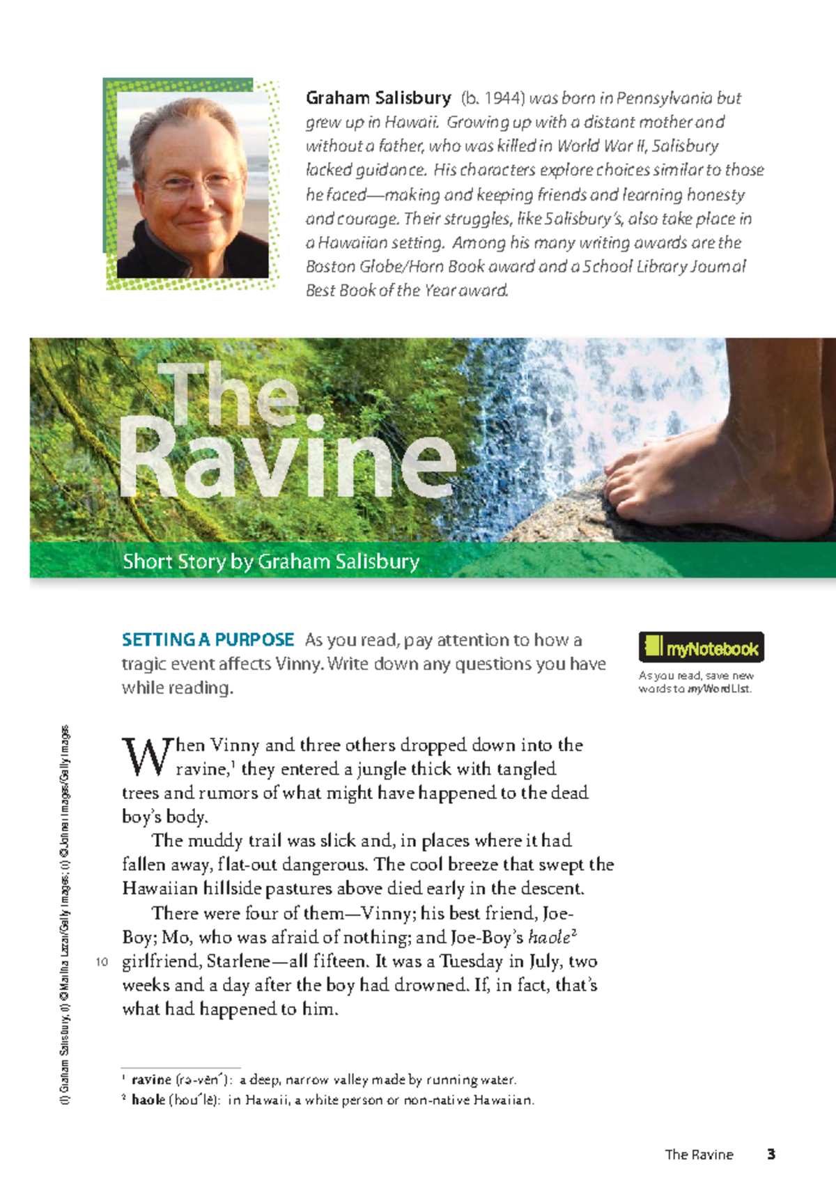 ENGL 101: Analysis of "The Ravine" by Graham Salisbury - Studocu