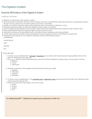 Exercise 25 Review Sheet Done - Exercise 25 Review Sheet Special Senses ...