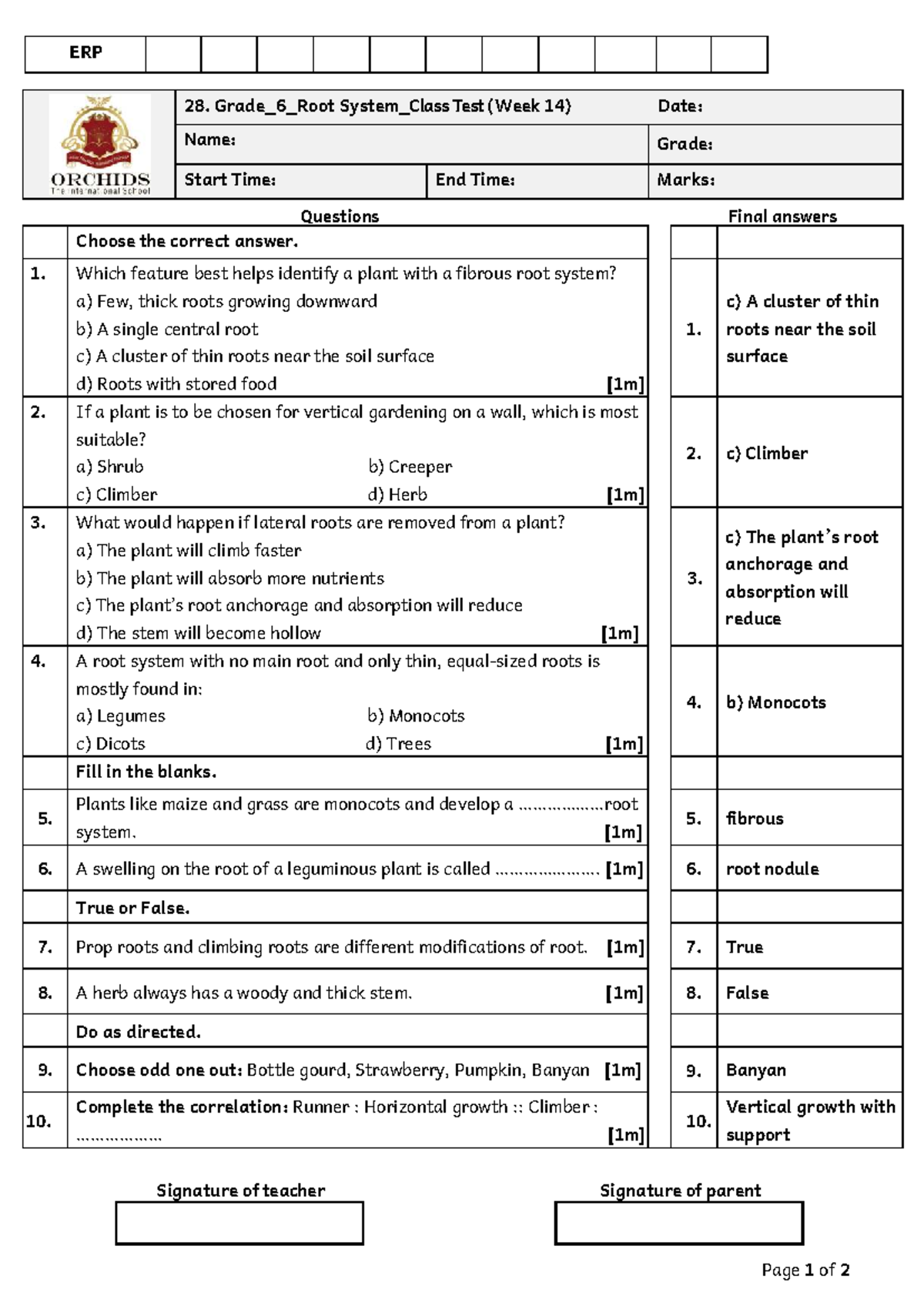 ERP 28. Grade 6 Root System Class Test (Week 14) - Studocu