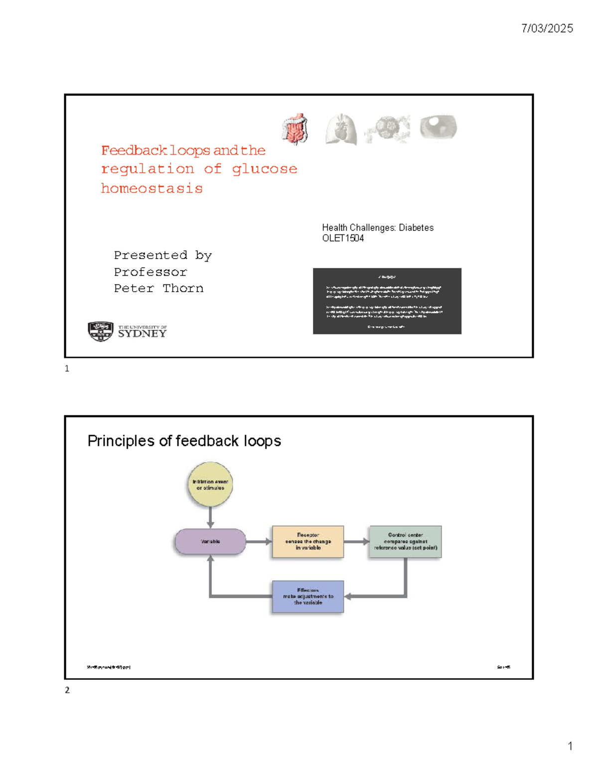 Feedback Loops in Glucose Homeostasis - OLET1504 Lecture Notes - Studocu
