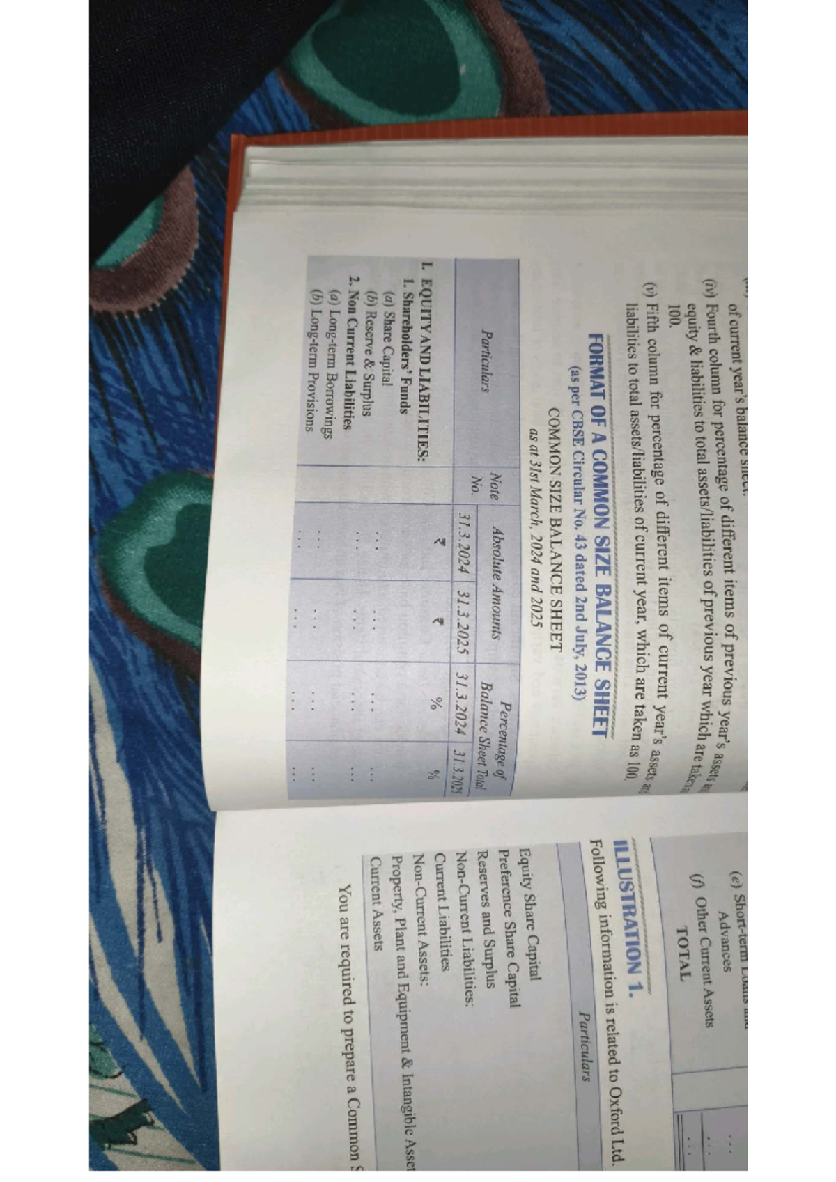 Common Size Balance Sheet & Statement of Profit Loss Analysis (ACCT 101 ...