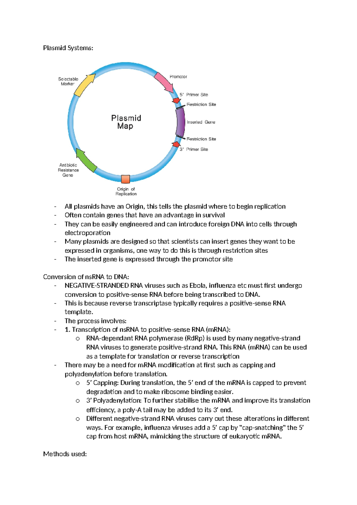 Plasmid Systems & nsRNA to DNA Conversion: Key Concepts Explained - Studocu