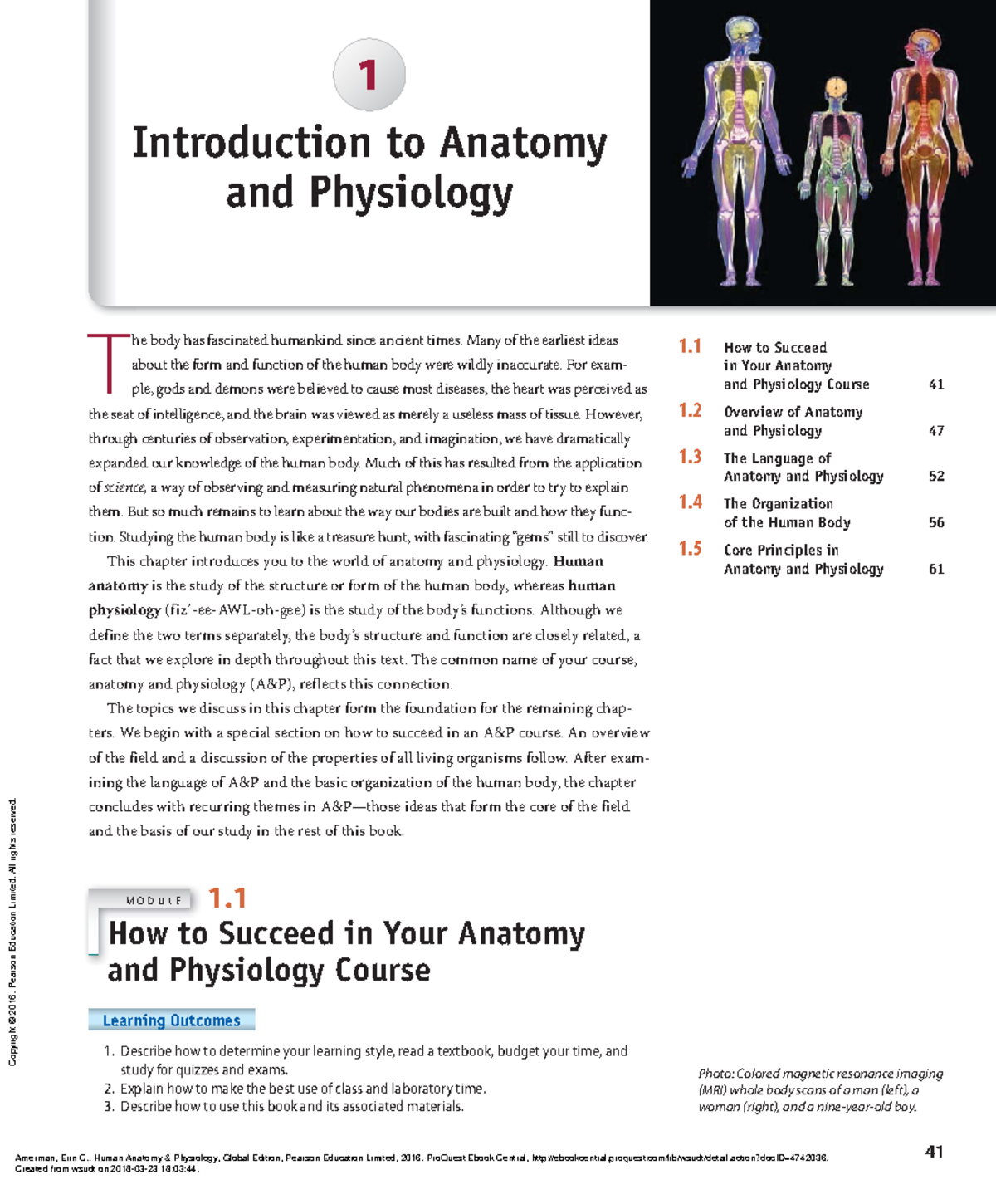 1 Intro to Anatomy and Physiology - ####### 1 How to Succeed in Your ...